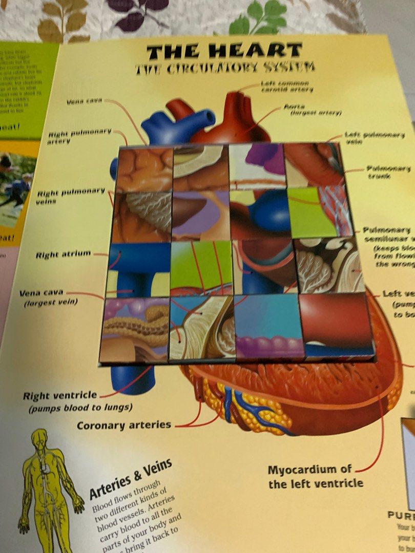 Big Block Book Atlas, Hobbies & Toys, Books & Magazines, Children's ...