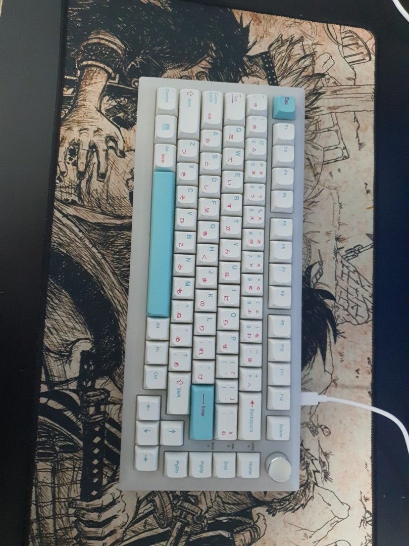 Fully Modded Custom Mechanical 75% Keyboard RGB with Knob, Computers & Tech, Parts & Accessories ...