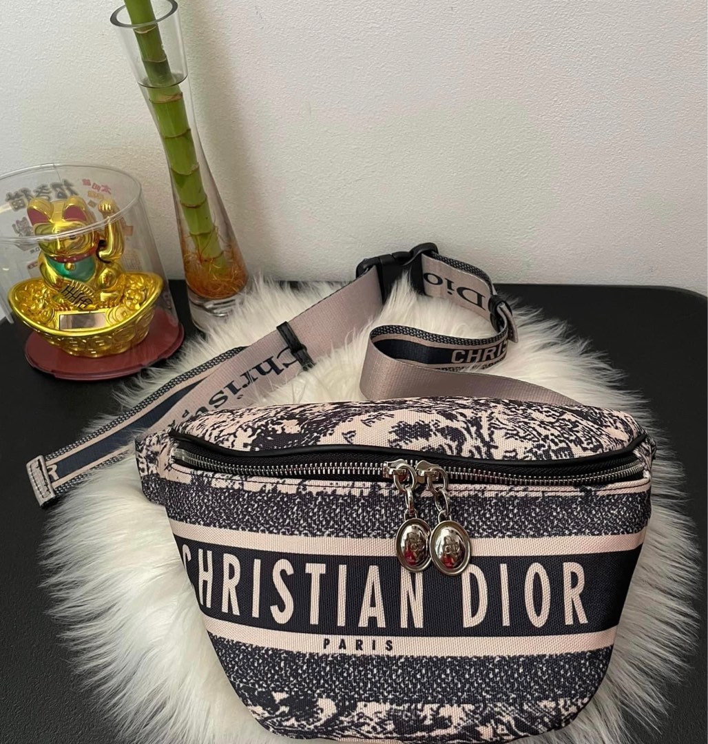 Dior Chest Bag (Unisex), Women's Fashion, Bags & Wallets, Cross-body ...