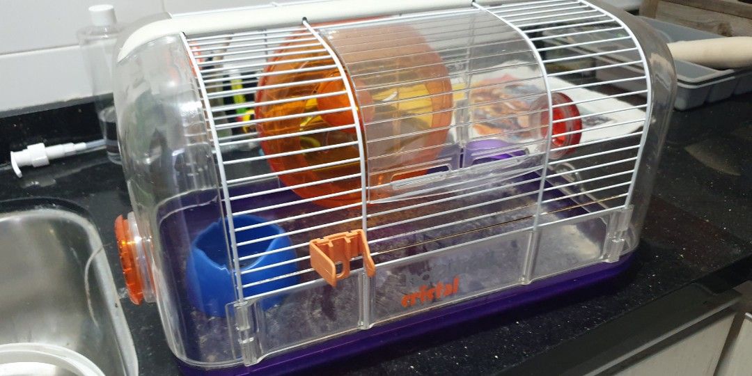 Hamster Cage with lots of tunnels, Pet Supplies, Homes & Other Pet ...