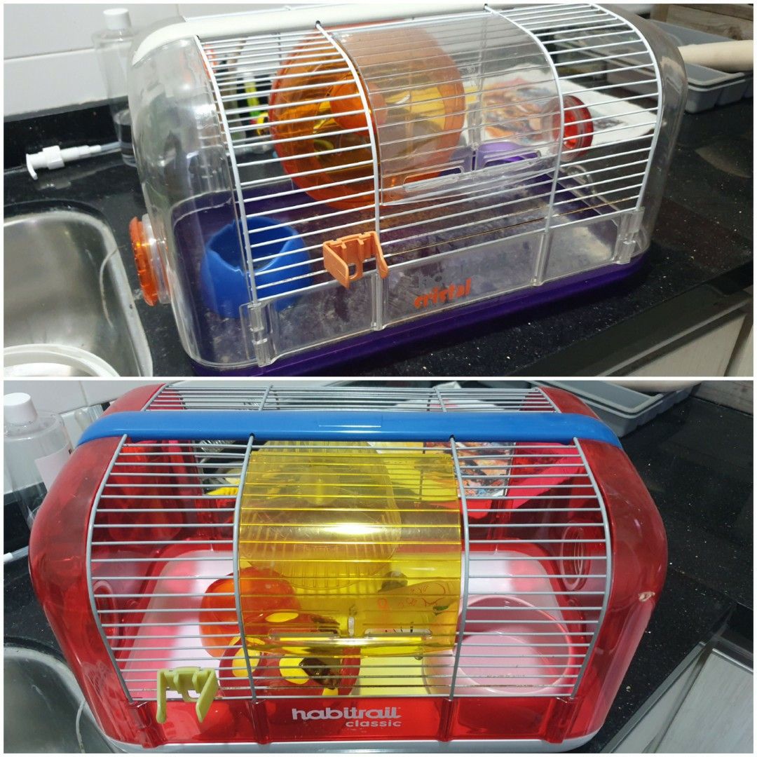 Hamster Cage, Pet Supplies, Homes & Other Pet Accessories on Carousell