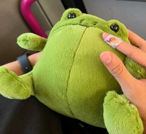 Hobby Frog Plushie, Hobbies & Toys, Toys & Games on Carousell