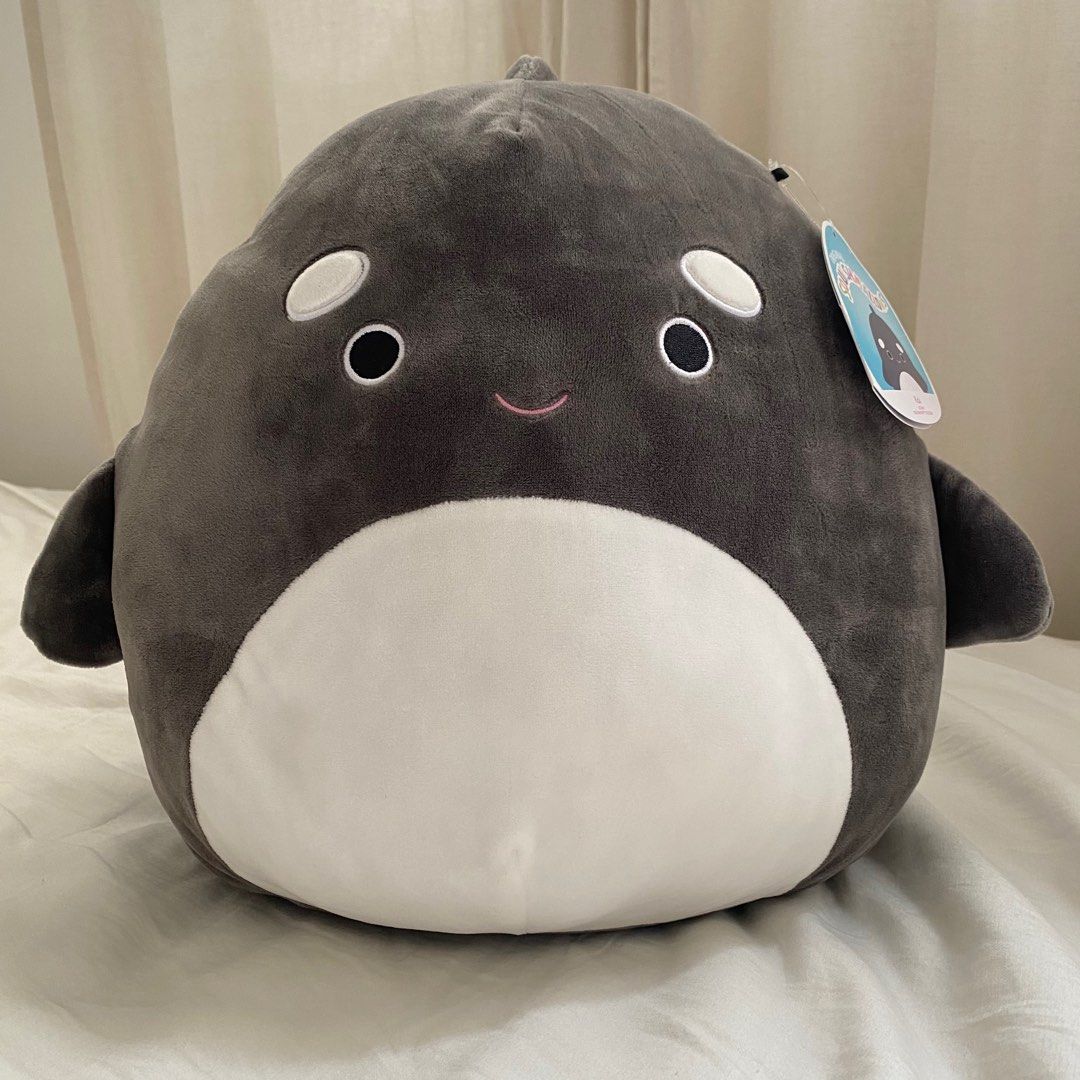 Kai the Orca 12" Squishmallow, Hobbies & Toys, Toys & Games on Carousell