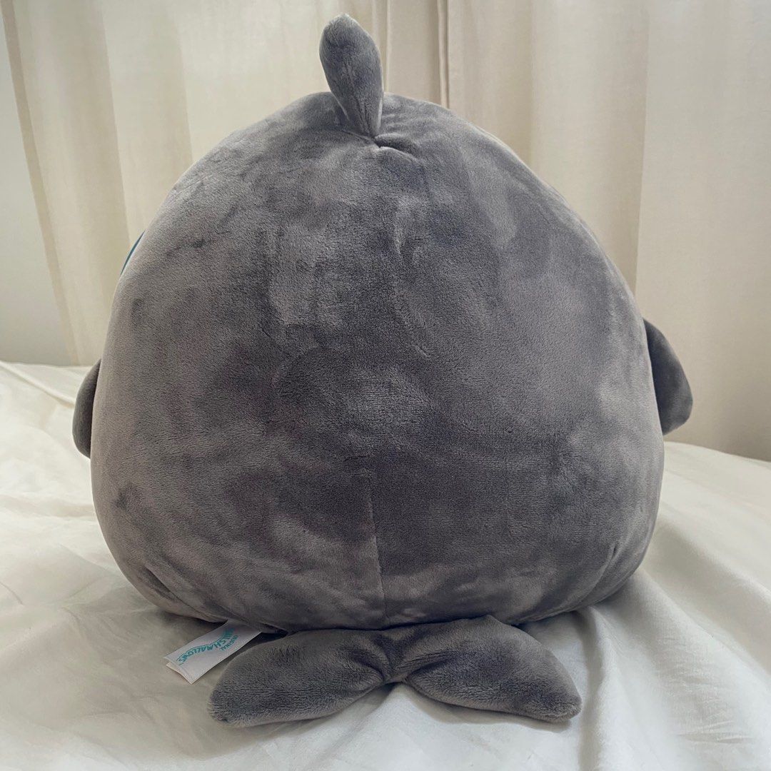 Kai the Orca 12" Squishmallow, Hobbies & Toys, Toys & Games on Carousell