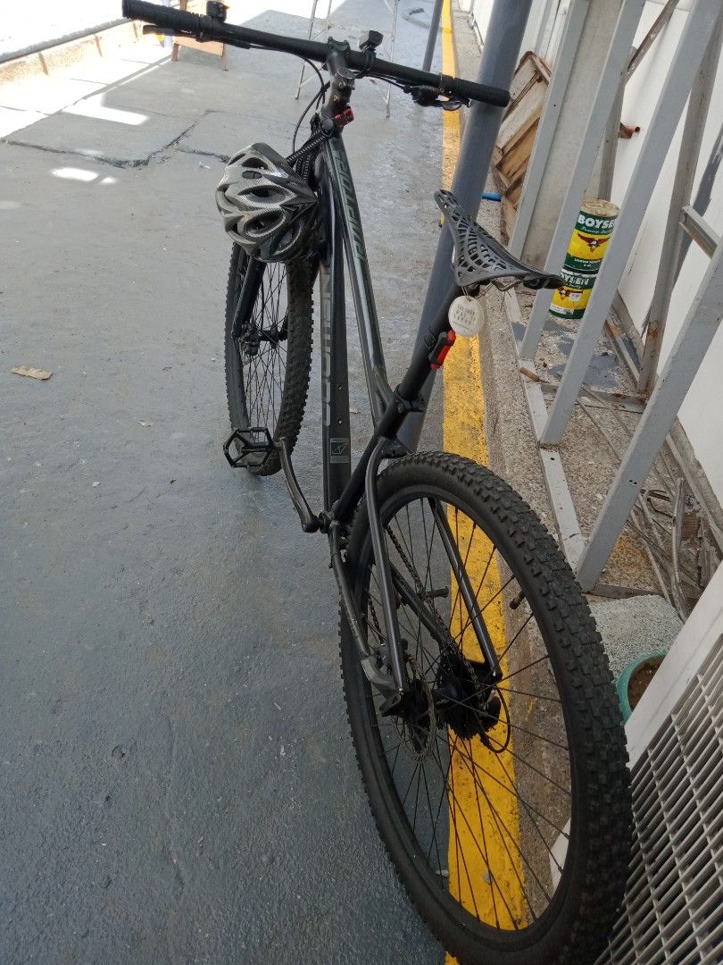 Pinewood Raptor 29er 2020, Sports Equipment, Bicycles & Parts, Bicycles ...