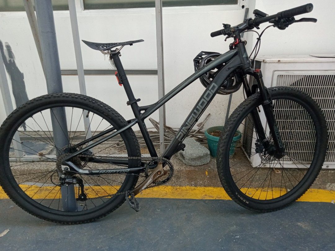 Pinewood Raptor 29er 2020, Sports Equipment, Bicycles & Parts, Bicycles ...