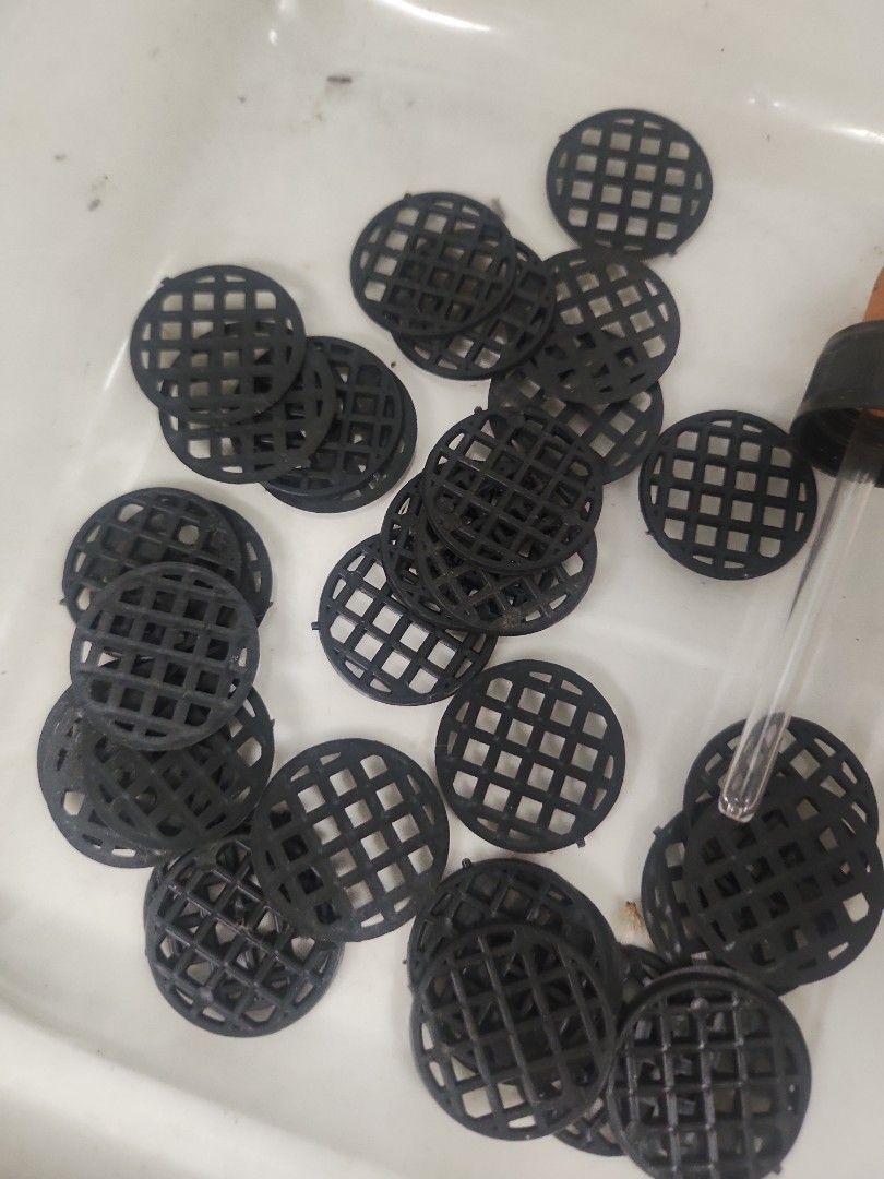 Planting stuff, Furniture & Home Living, Gardening, Pots & Planters on ...