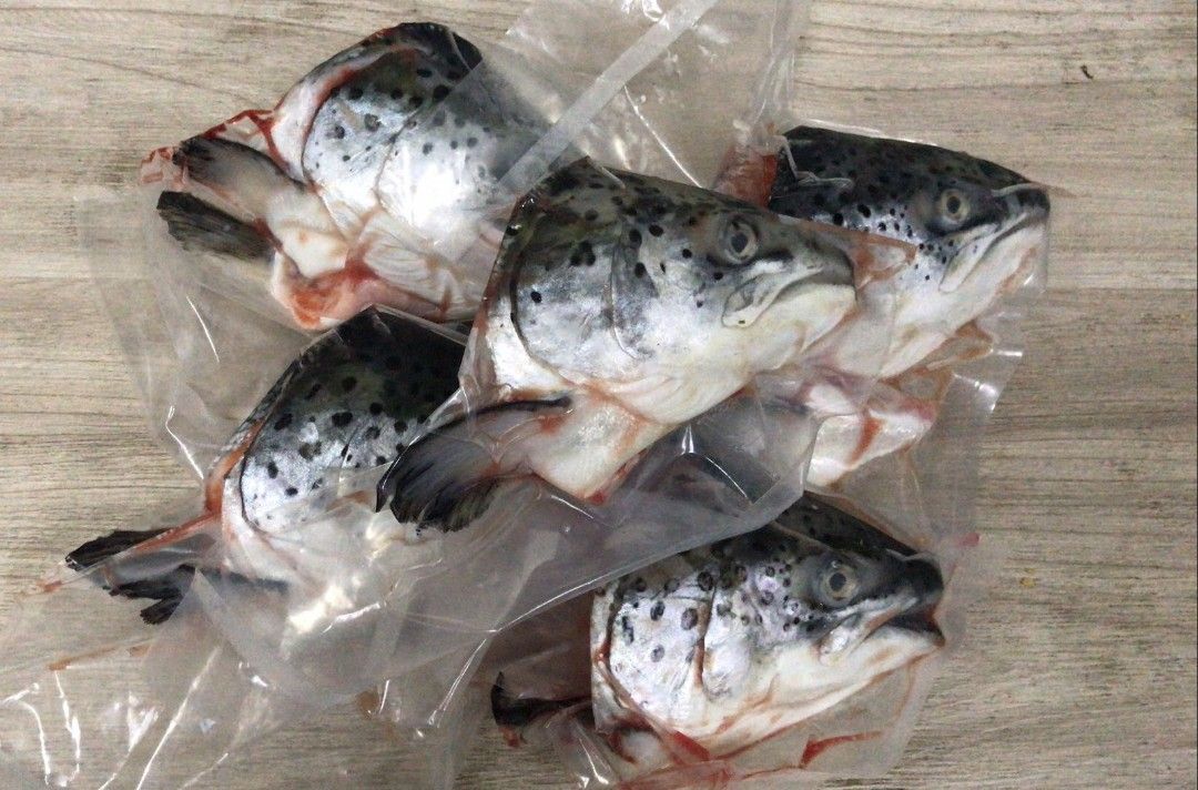 Vaccum packed fish head, Food & Drinks, Fresh Produce on Carousell