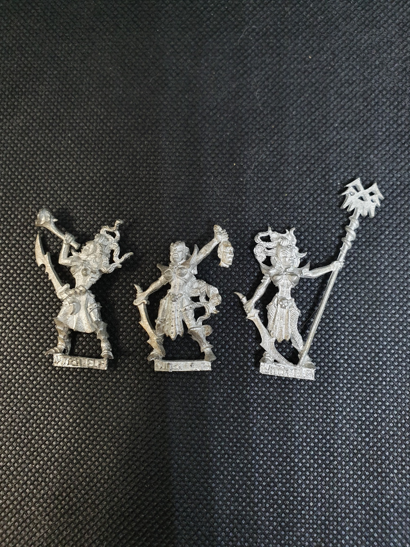 Warhammer Fantasy - Witch Elves Command (Metal), Hobbies & Toys, Toys ...