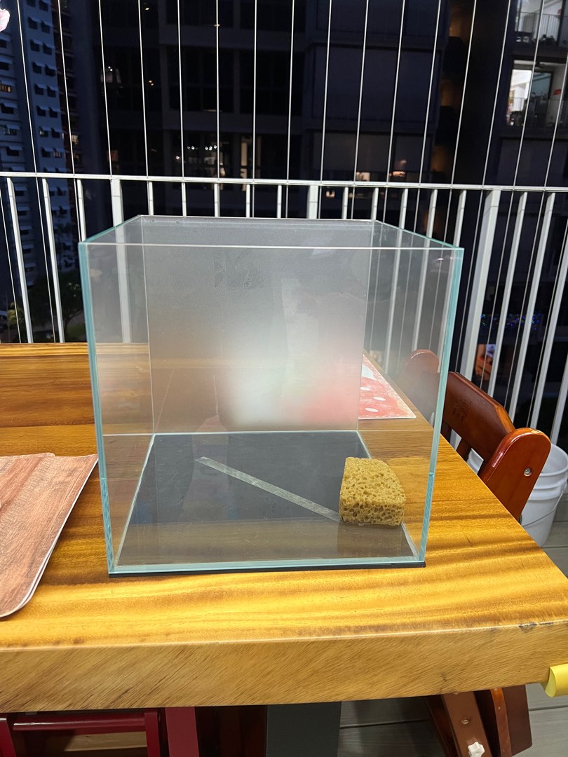 ANS Cube 30cm, Pet Supplies, Homes & Other Pet Accessories on Carousell