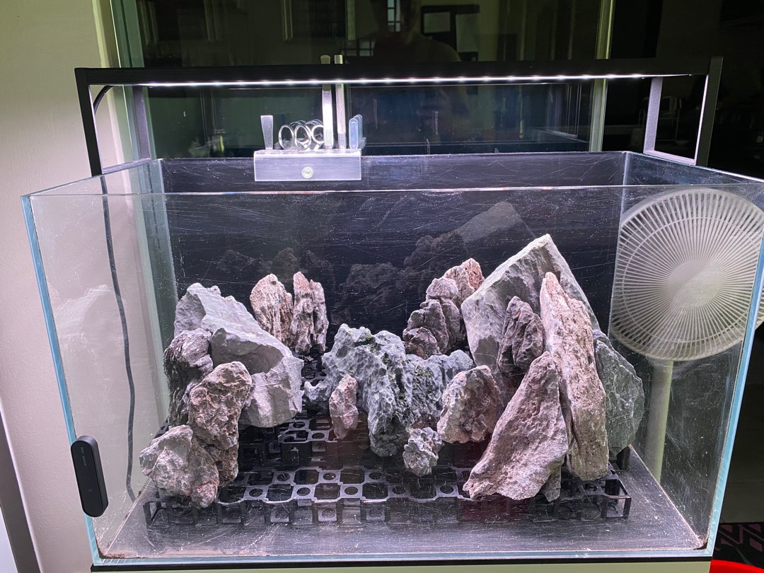 Aquarium Rocks, Pet Supplies, Homes & Other Pet Accessories on Carousell