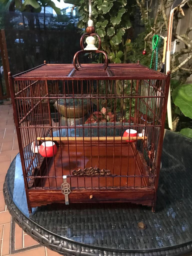 Bird cage, Pet Supplies, Homes & Other Pet Accessories on Carousell