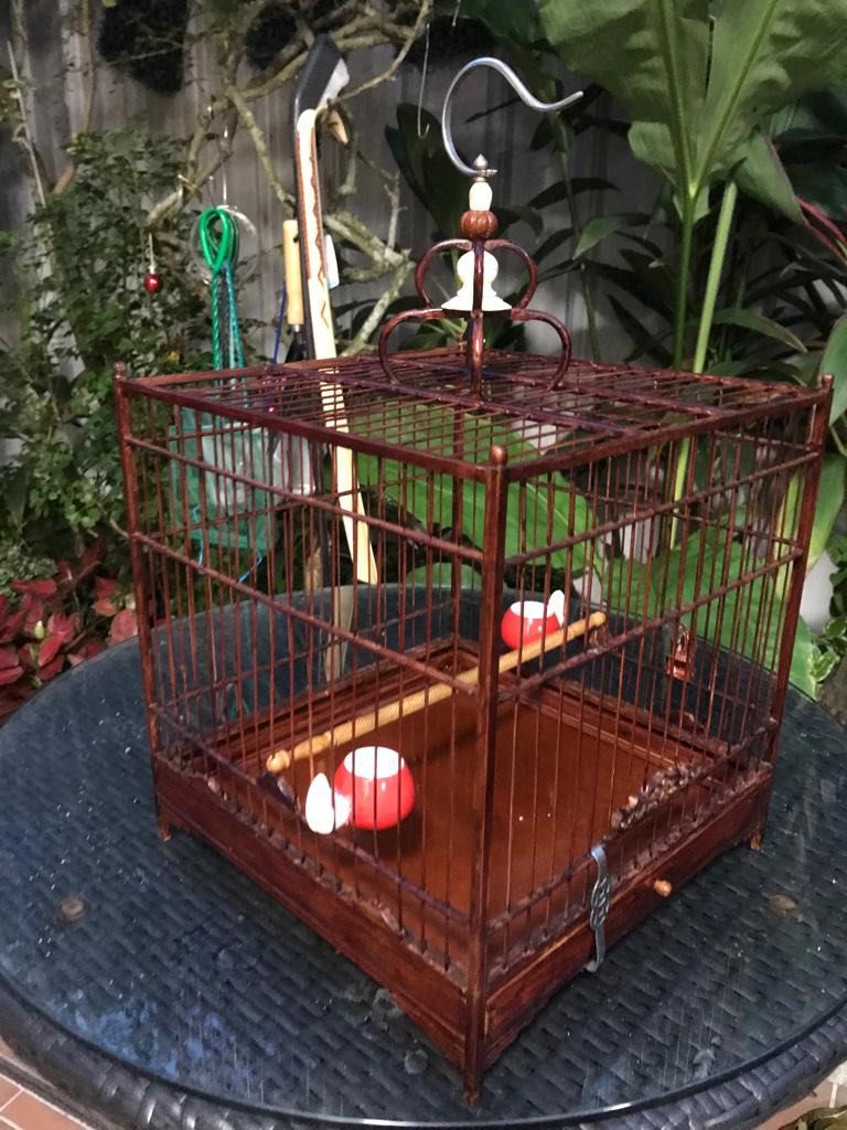 Bird cage, Pet Supplies, Homes & Other Pet Accessories on Carousell