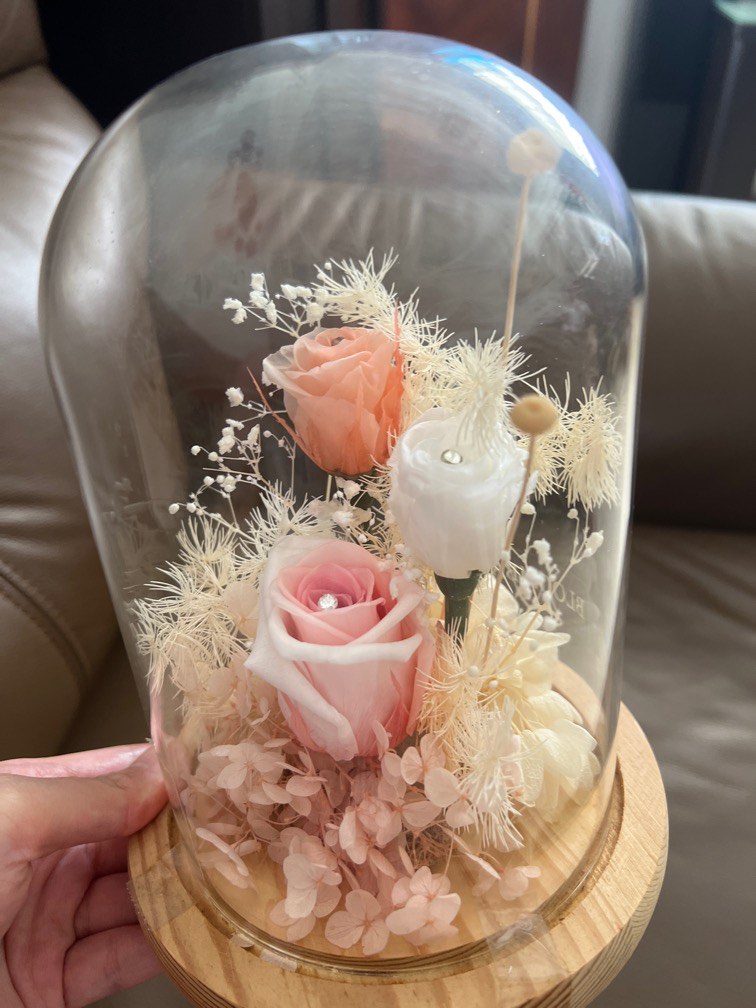 Bloomback Preserved Flower Dome, Furniture & Home Living, Home Decor ...