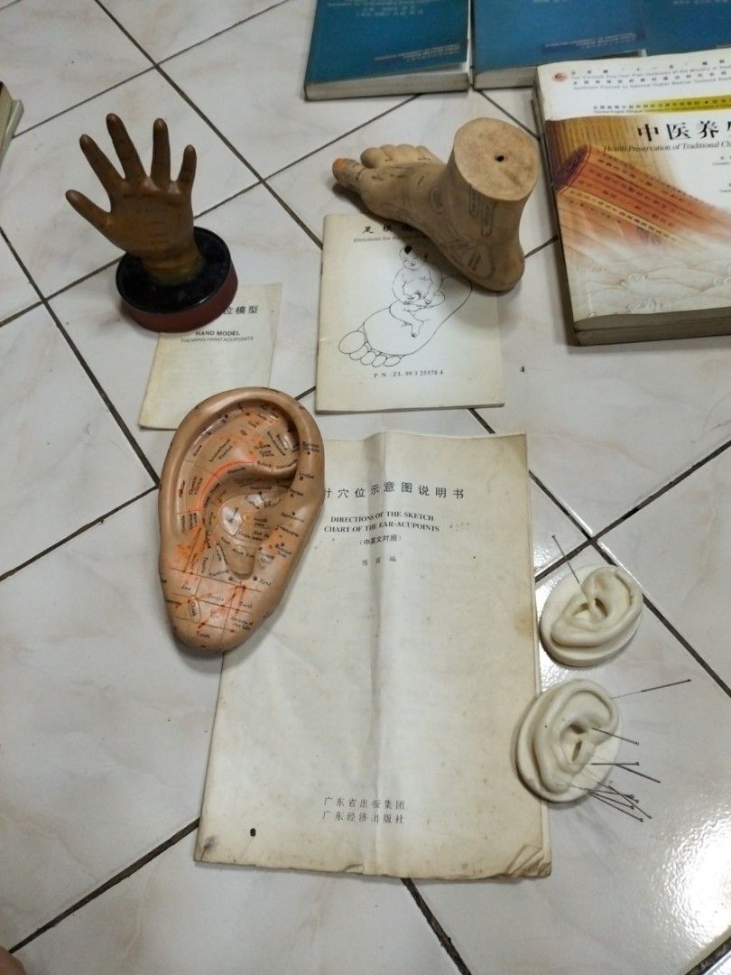 Chinese Acupuncture Models Set plus Silicone Ear Acupuncture Practice ...