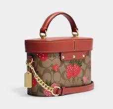 Coach Strawberry Signature Bucket Bag, Women's Fashion, Bags & Wallets ...