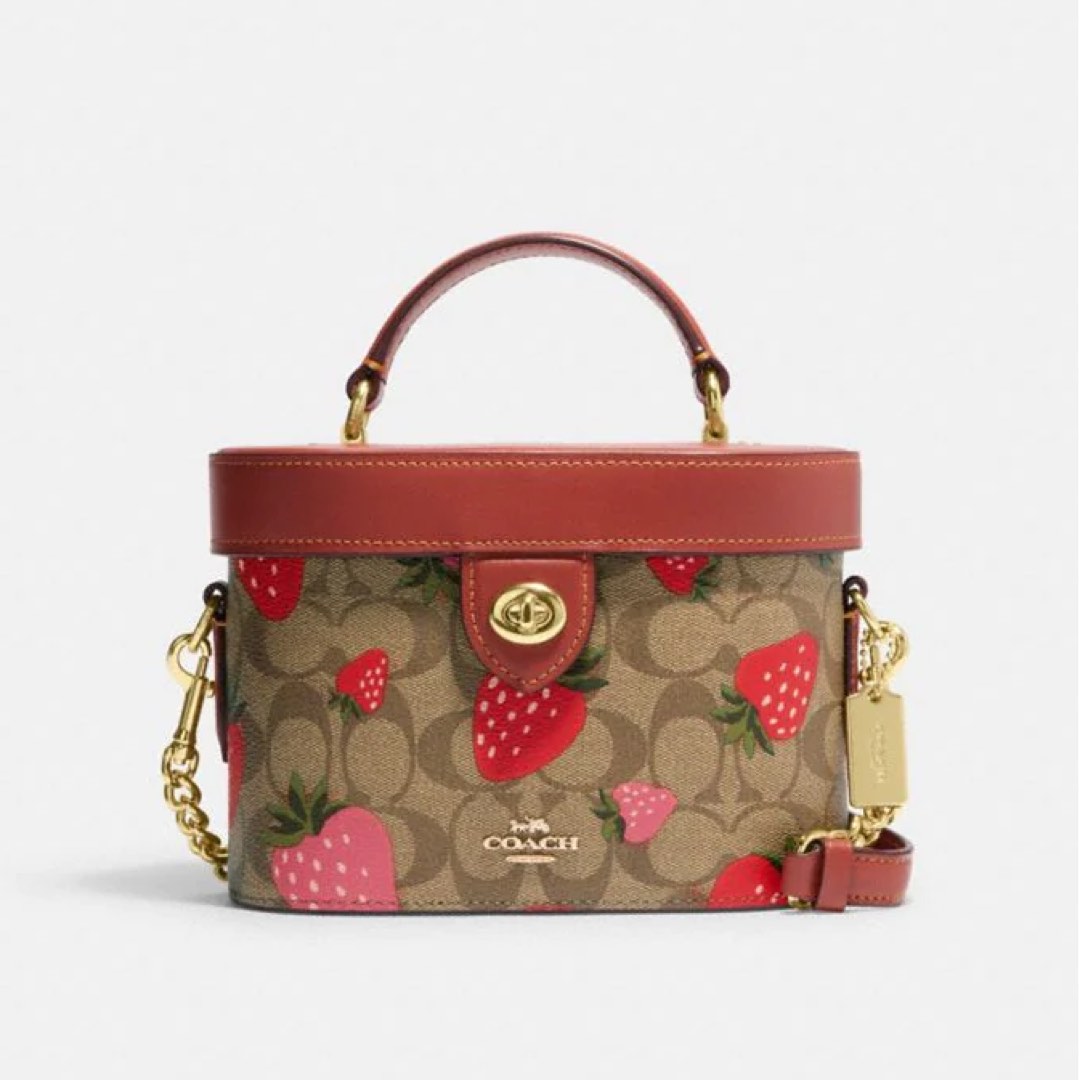Coach Strawberry Signature Bucket Bag, Women's Fashion, Bags & Wallets ...