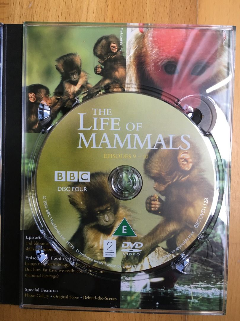 David Attenborough - Life of Mammals - 4 x DVD, Hobbies & Toys, Music ...