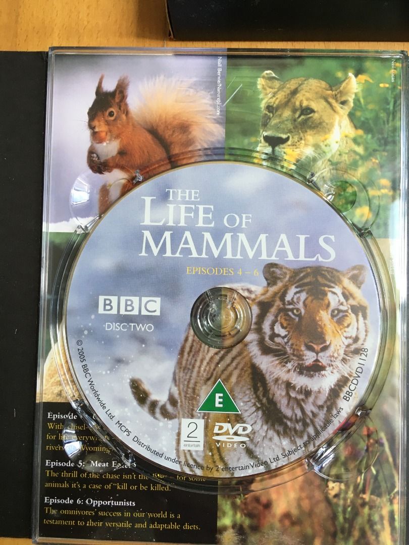 David Attenborough - Life of Mammals - 4 x DVD, Hobbies & Toys, Music ...
