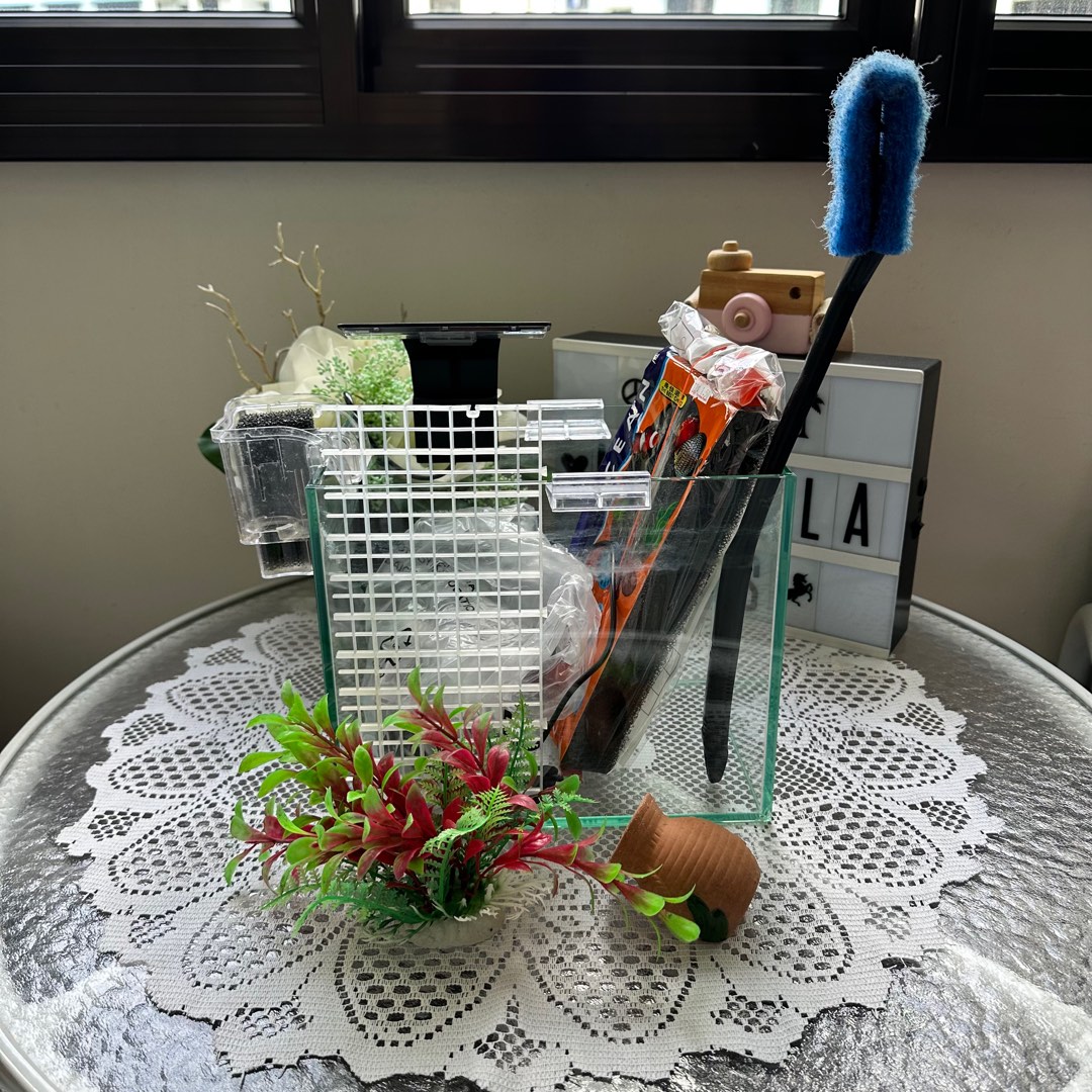 DEX Mini Fish Tank set up, Pet Supplies, Homes & Other Pet Accessories ...