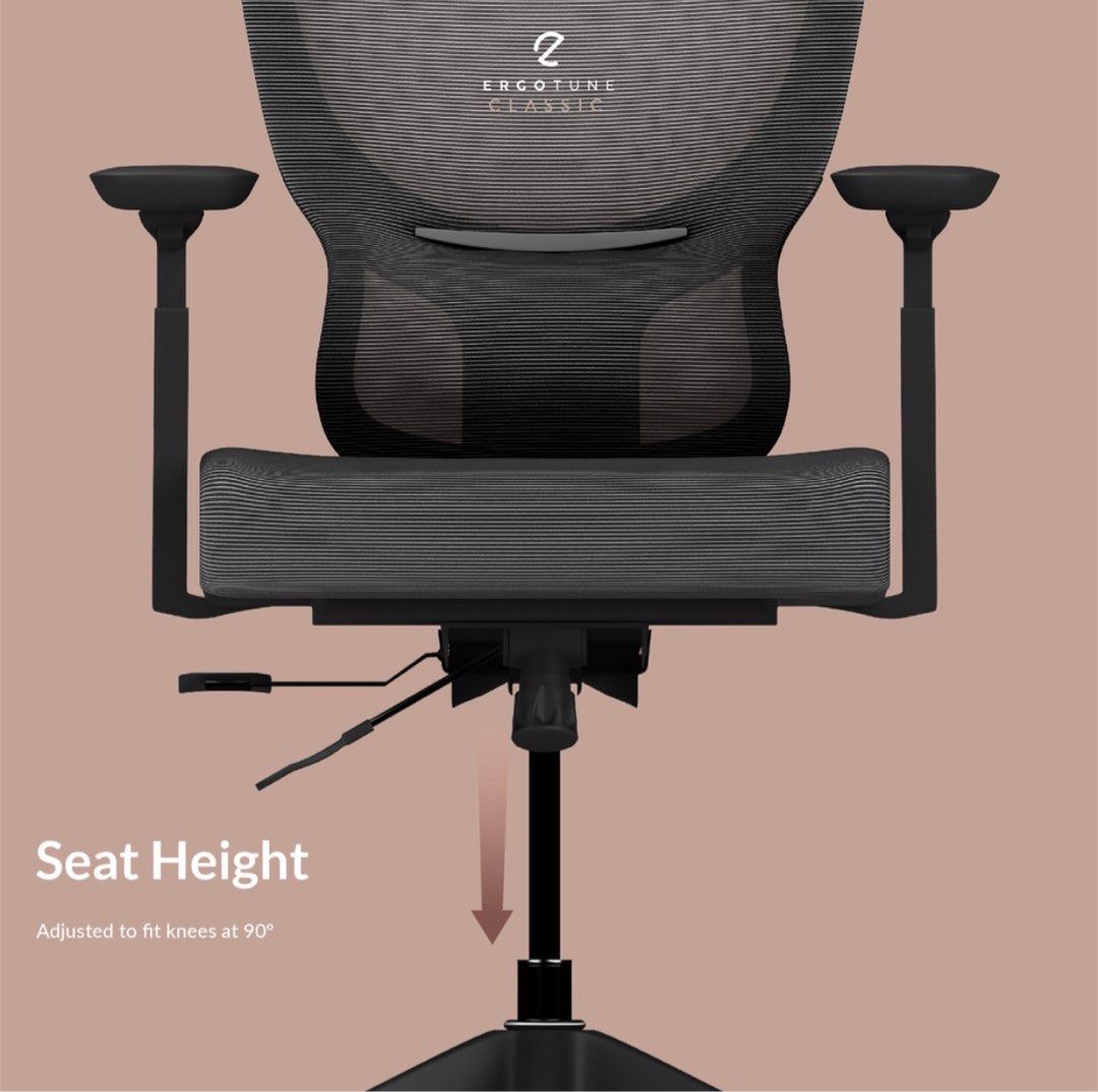 Ergotune Classic ergonomic chair, Furniture & Home Living, Furniture ...