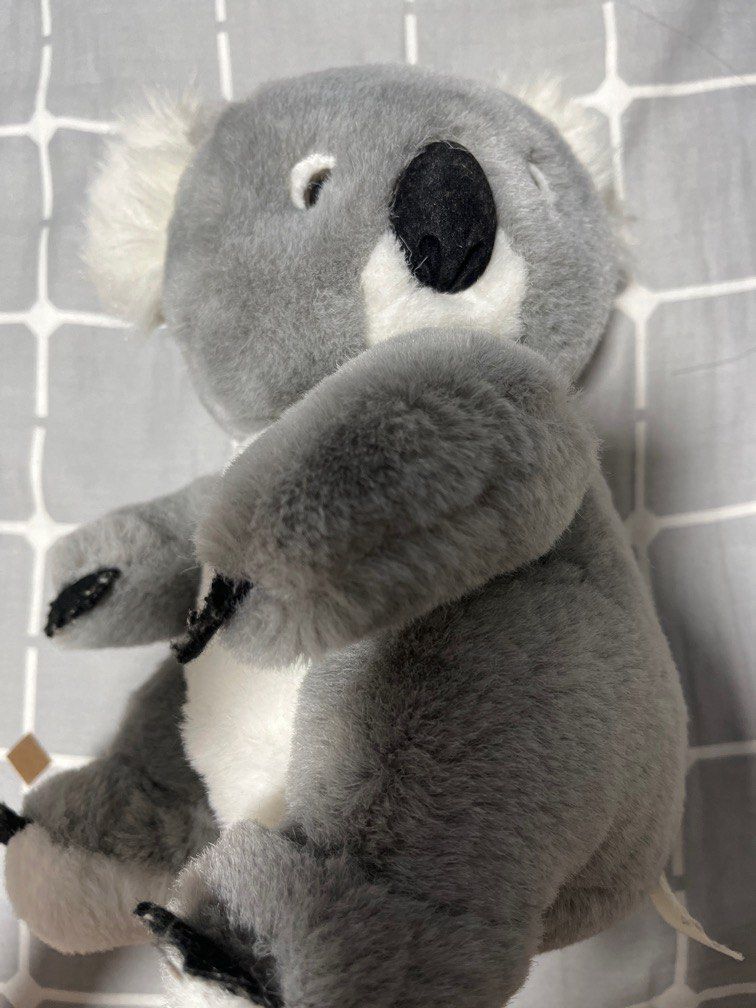 Koala soft toy, Everything Else on Carousell