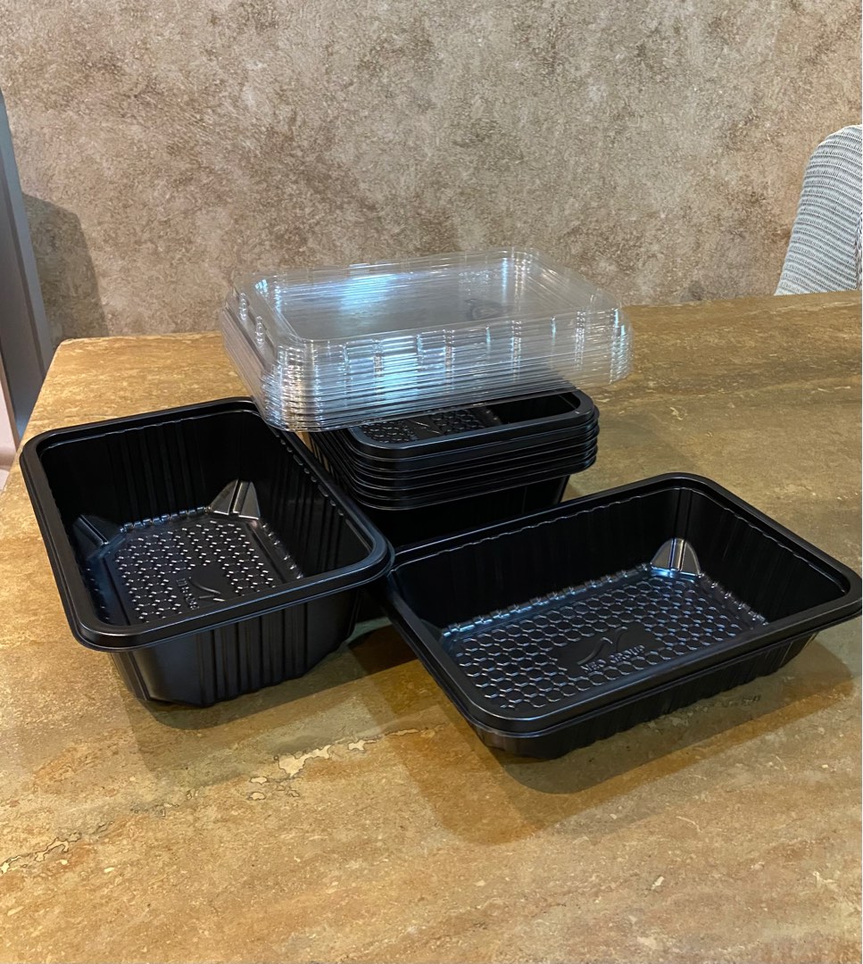 Large food containers, Furniture & Home Living, Home Improvement ...