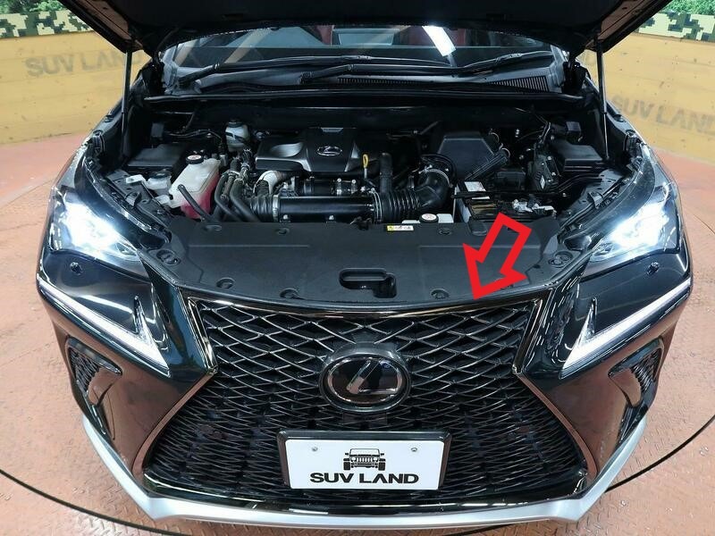Lexus NX Hood insulation seal, Car Accessories, Accessories on Carousell