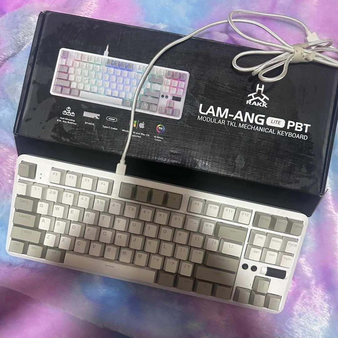 Rakk Ilis RGB Mechanical Keyboard | 96 Key Layout, Computers & Tech ...