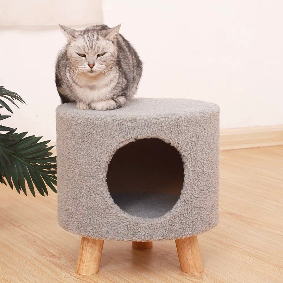 Stool Cat house, Pet Supplies, Homes & Other Pet Accessories on Carousell