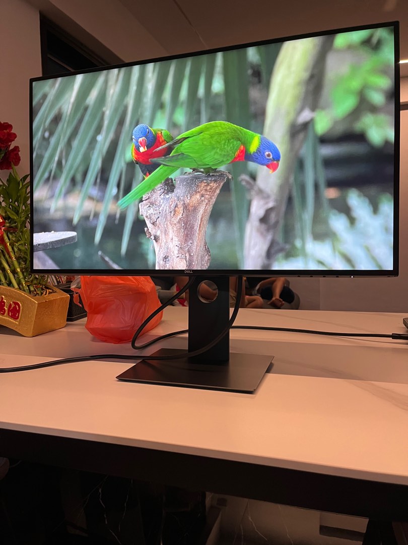 DELL UltraSharp U2719D 27" inch QHD 2560 x 1440 IPS Professional ...