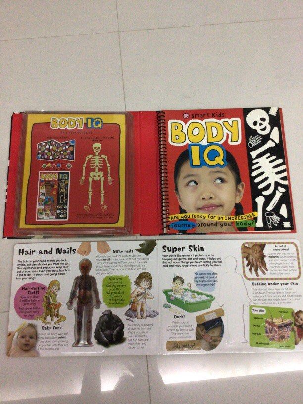 Educational Human Body interactive book, Hobbies & Toys, Books ...