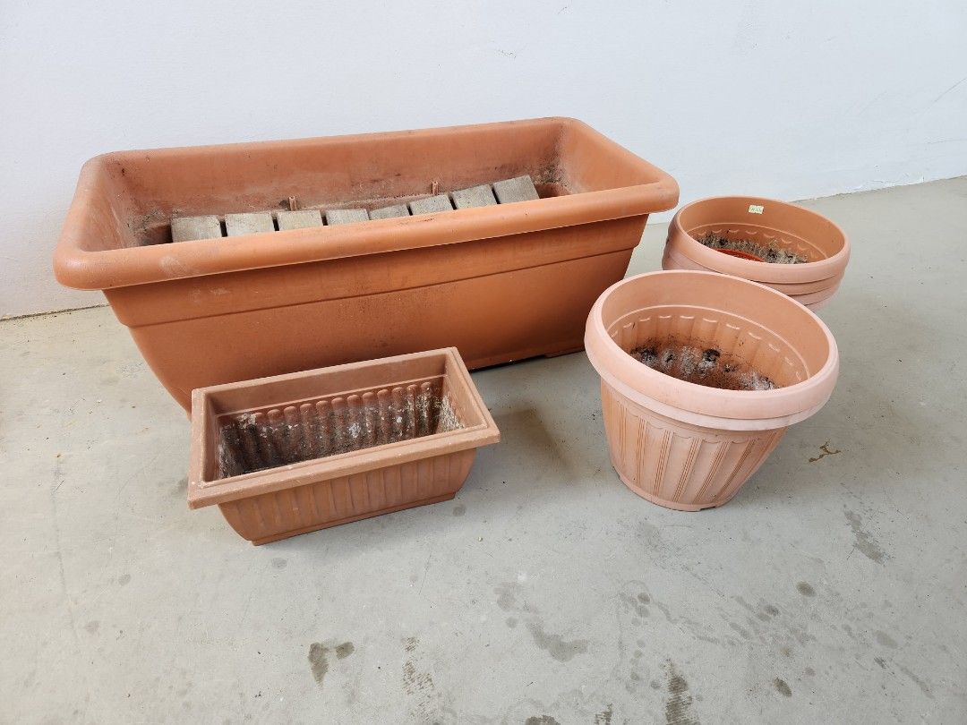 Free long and round plant pots, Furniture & Home Living, Gardening ...