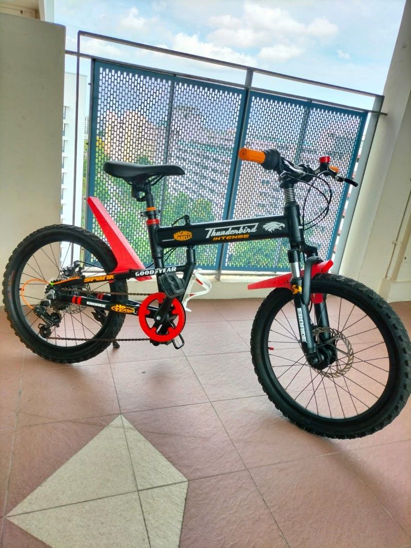 Germany's Eroade Aluminum Frame Foldable Kids MTB Bicycle 20" Bike ...