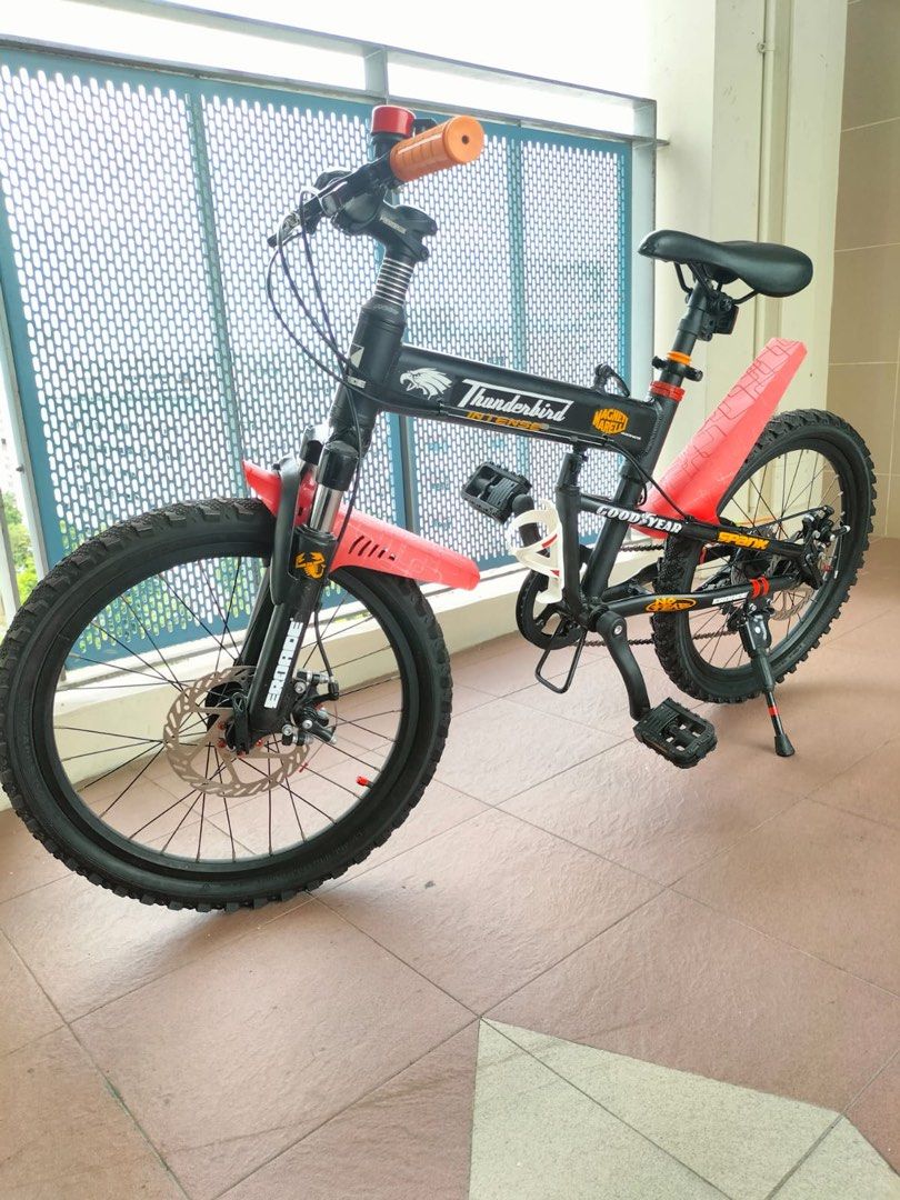 Germany's Eroade Aluminum Frame Foldable Kids MTB Bicycle 20" Bike ...