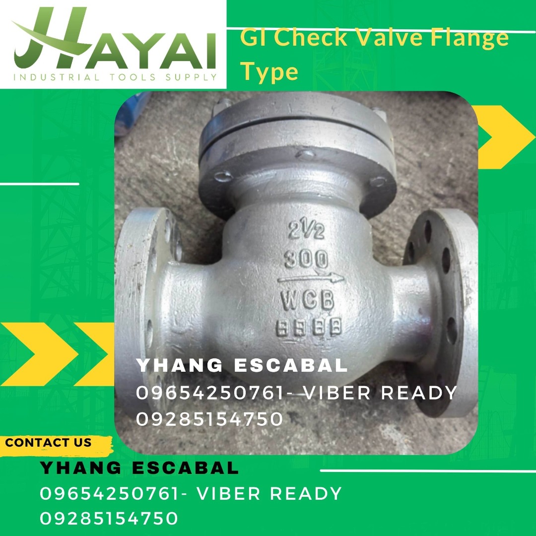 GI CHECK VALVE FLANGE TYPE, Commercial & Industrial, Construction ...