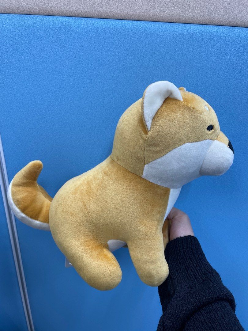 Miniso Shiba plush toy, Hobbies & Toys, Toys & Games on Carousell