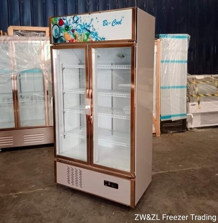 Single Door Chiller 2 Door Chiller 3 Door Chiller 2 Door Aircooling ...