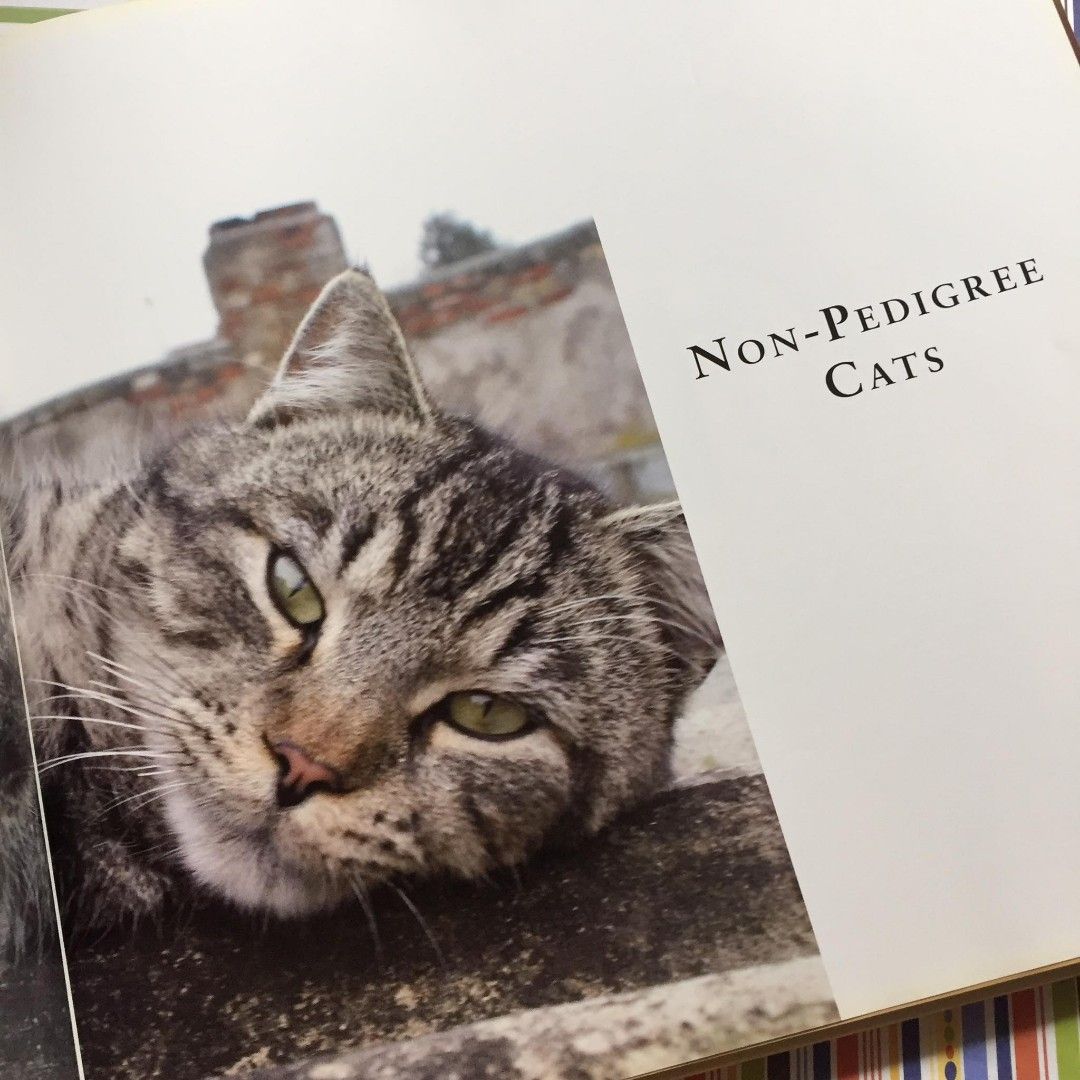 The Complete Book of Cats by Colin Dempsey on Carousell