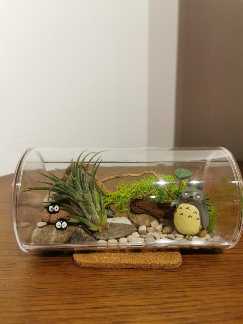 Totoro acrylic airplant terrarium, Furniture & Home Living, Gardening ...