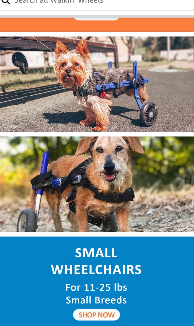 Walkin Wheels Pet Wheelchair, Pet Supplies, Homes & Other Pet ...