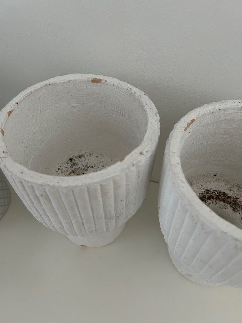 White ceramic plant pots, Furniture & Home Living, Gardening, Pots ...
