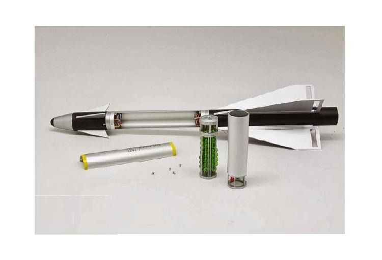 1 Lot 1/6 Scale Art Figures FBI WEAPONS EXPERT and EX-NAVY SEAL action ...