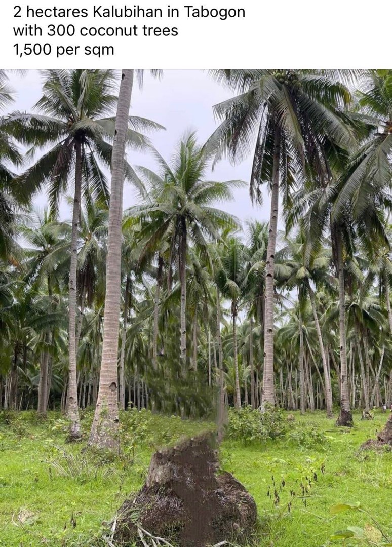 2 HECTARES KALUBIHAN FOR SALE, Property, For Sale, Lot on Carousell