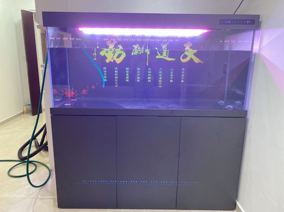 6ft stainless steel fish tank with sump system, Pet Supplies, Homes ...