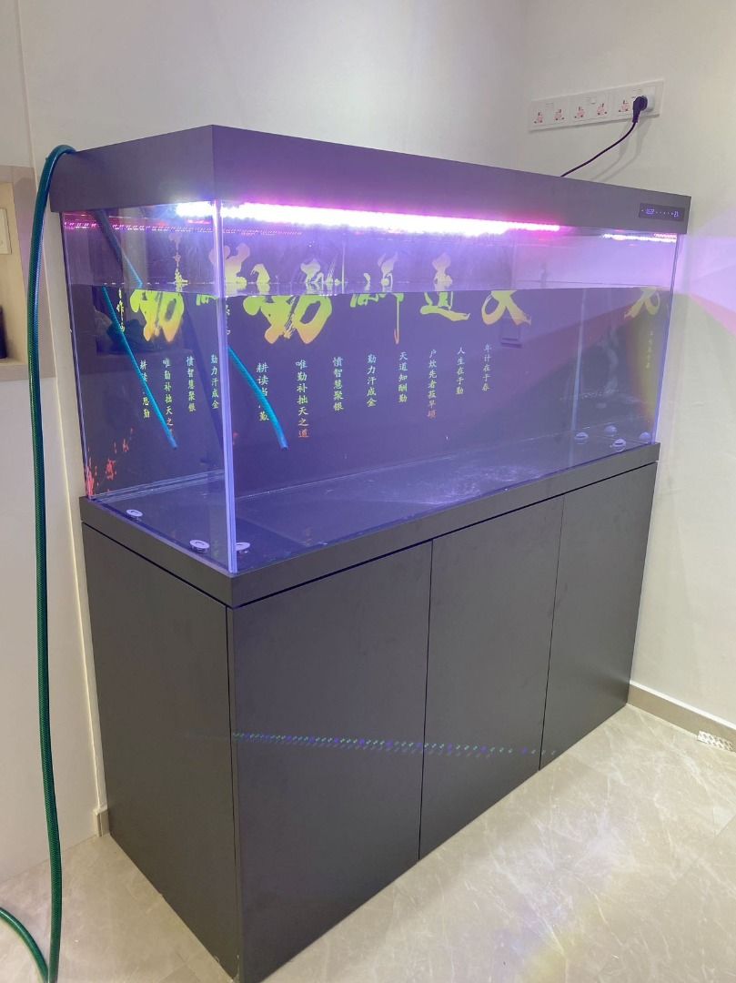 6ft stainless steel fish tank with sump system, Pet Supplies, Homes ...