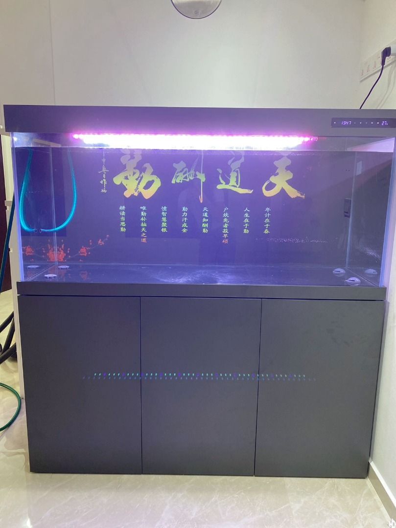 6ft stainless steel fish tank with sump system, Pet Supplies, Homes ...