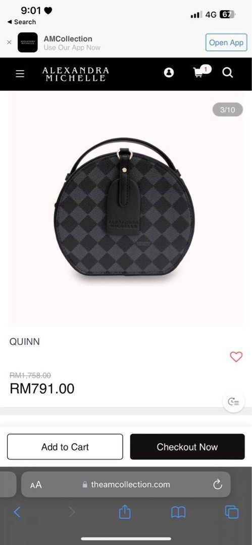 alexandra michelle, Women's Fashion, Bags & Wallets, Cross-body Bags on ...