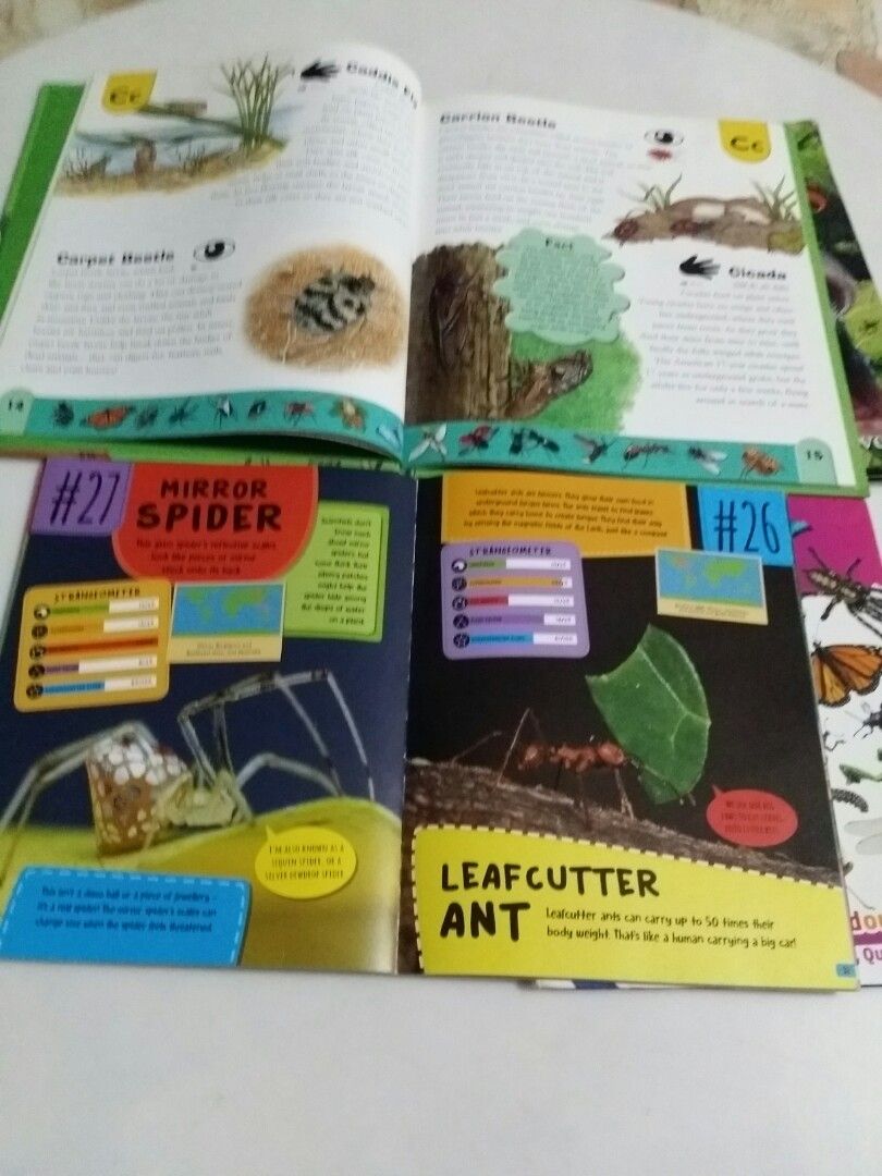 DK find out! - Bugs and Others, Hobbies & Toys, Books & Magazines ...