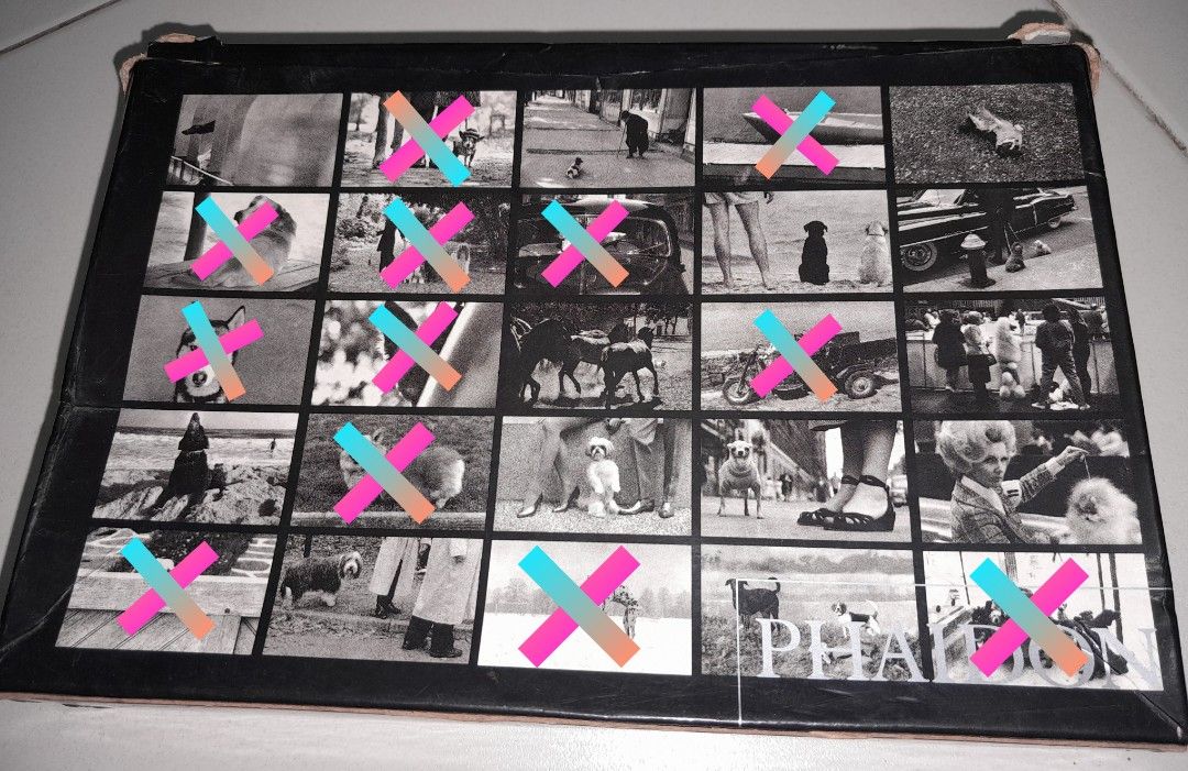 13 Greeting Cards, Elliott Erwitt Dog Box, Hobbies & Toys, Memorabilia ...